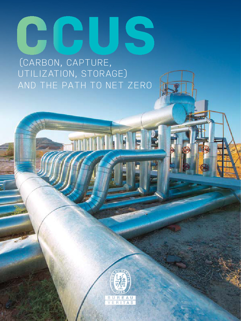 BV WhitePaper CCUS | PDF | Carbon Capture And Storage | Carbon Dioxide