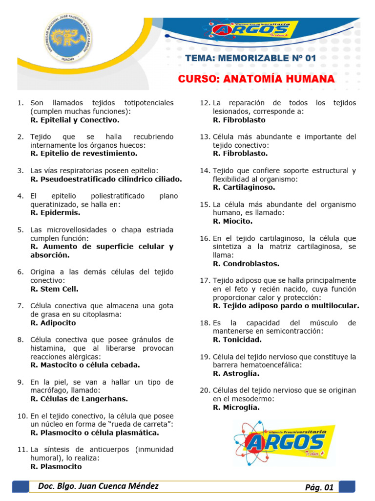 Memorizable Nº01 - Anatomía Humana (Colegio-Academia Argos) | PDF ...