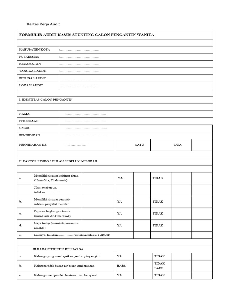 Kertas Kerja Audit | PDF