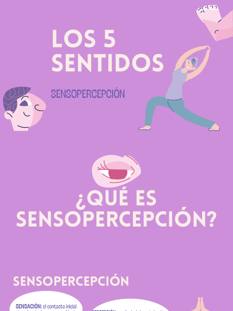 Sensopercepción - Los Sentidos | PDF | Percepción | Sentidos
