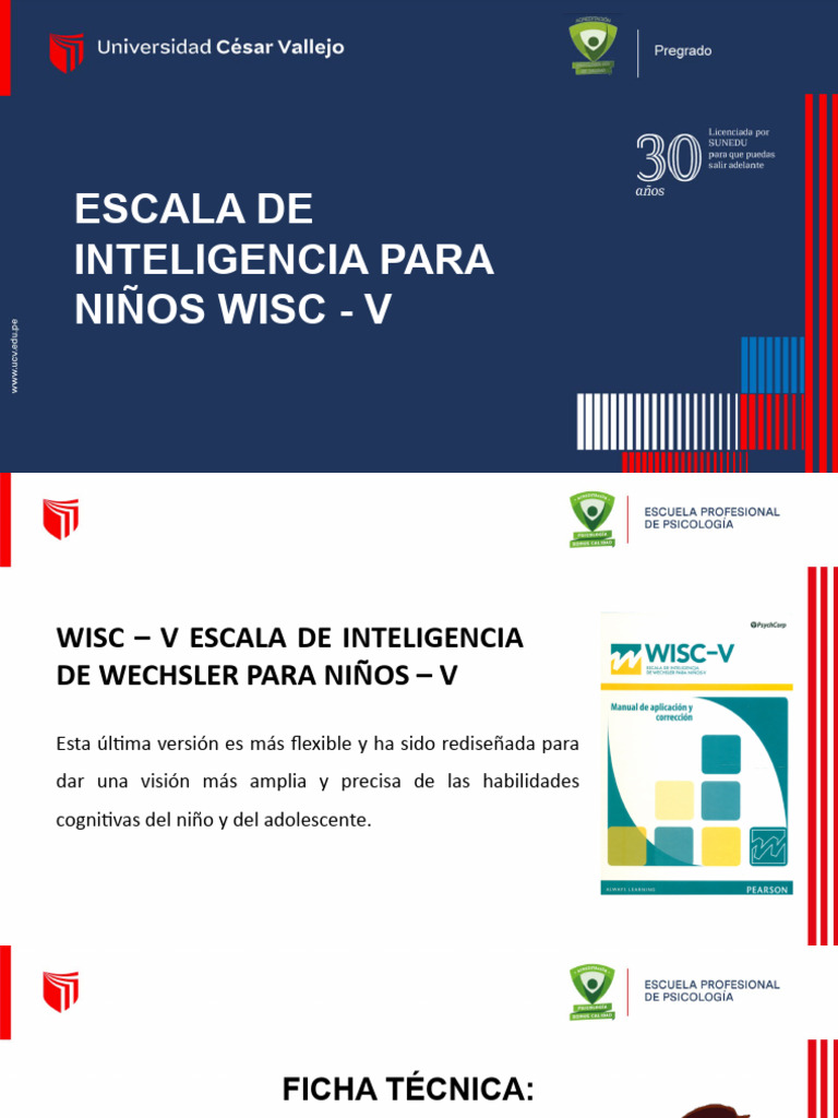 Escala de Inteligencia para Niños Wisc - V | PDF