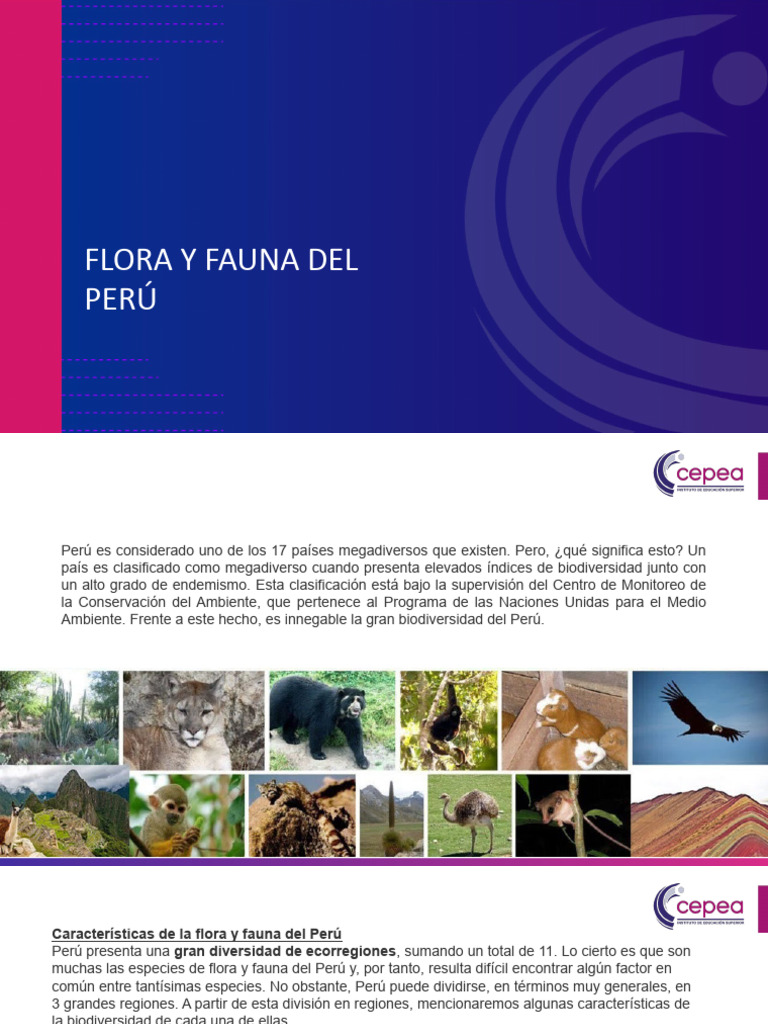 flora y fauna del Perú | Descargar gratis PDF | Perú | Biodiversidad