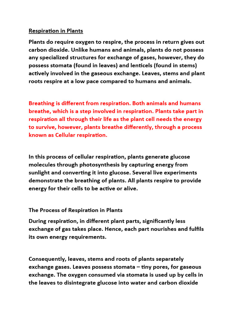 Respiration in Plants | PDF | Stoma | Cellular Respiration