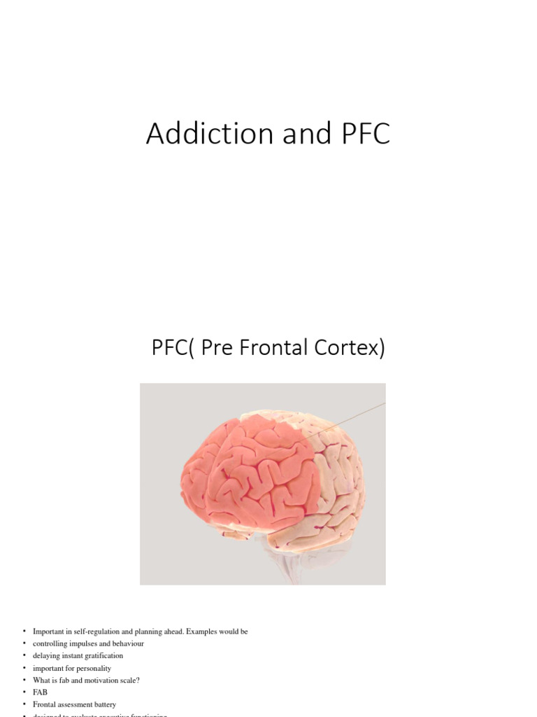 Addiction's Impact on Prefrontal Cortex | PDF | Prefrontal Cortex ...