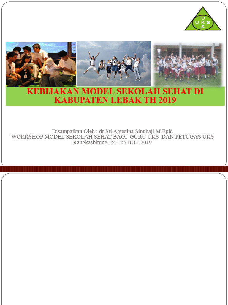 Kebijakan Model Sekolah Sehat Di Kabupaten Lebak | PDF