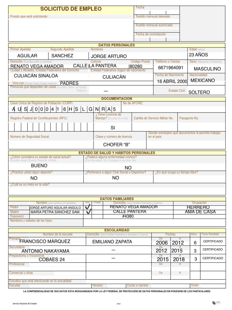 SNE_SOLICITUD_DE_EMPLEO_PLANTILLA_PDF | PDF