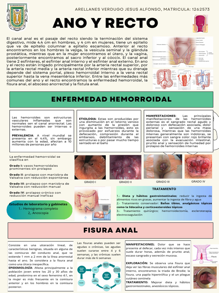 Ano y Recto | PDF | Hemorroides | Recto