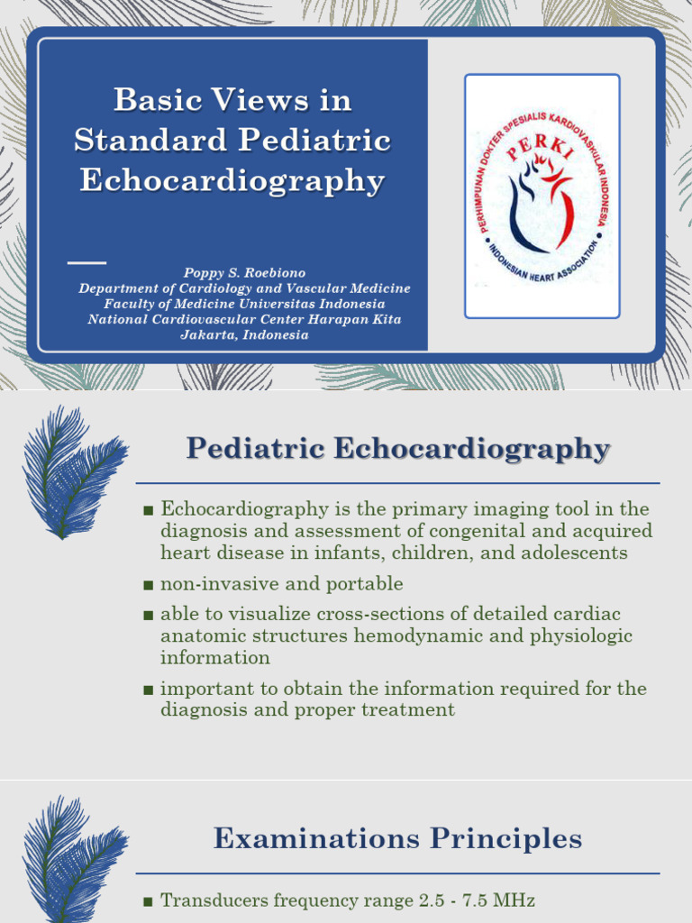 Basic Views in Standard Pediatric Echocardiography (Webinar PERKI ...