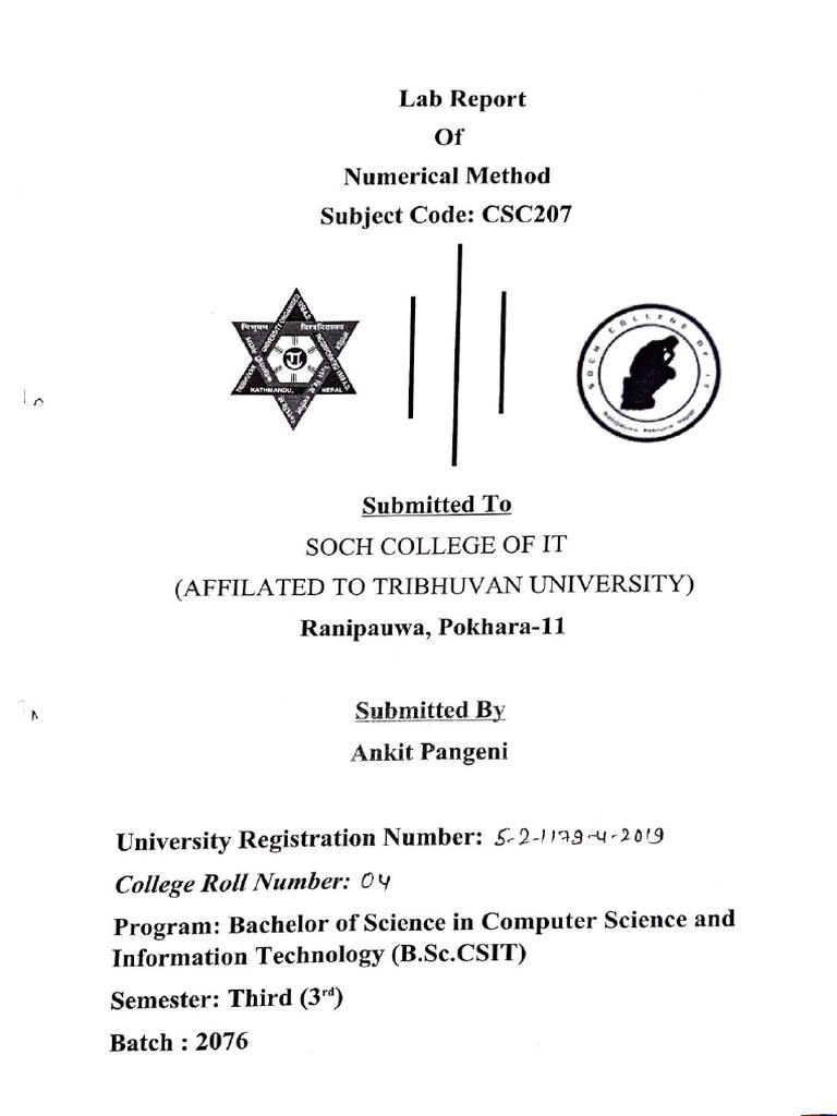 Numerical Methods Lab Report Ankit Pangeni - Compressed | PDF