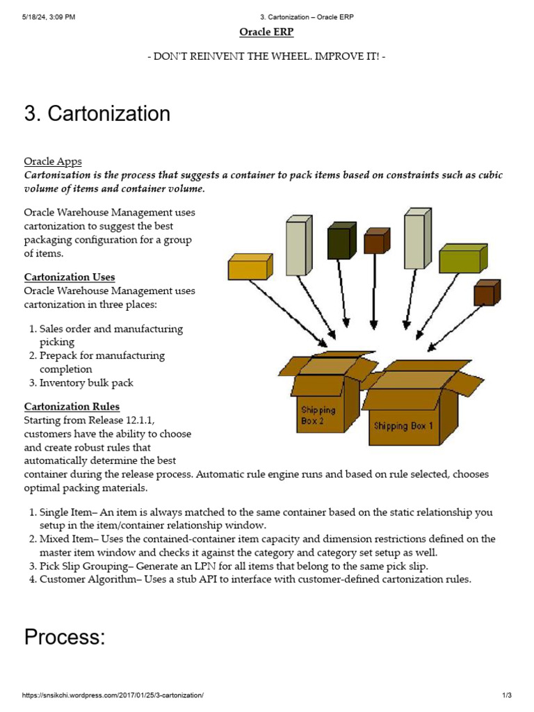 Cartonization | PDF | Packaging And Labeling | Enterprise Resource Planning