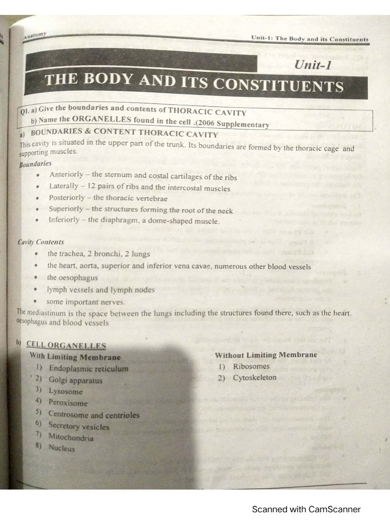 Anatomy Past Paper (Asi) | PDF