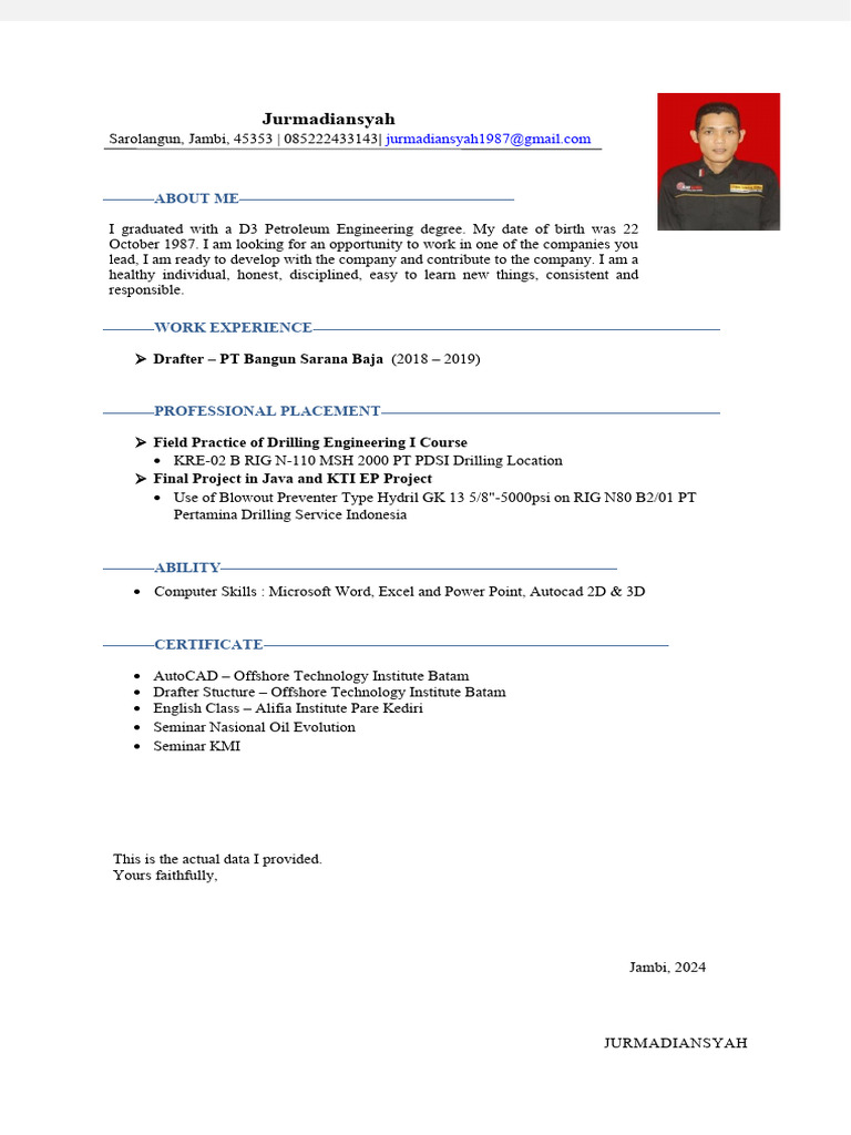 CV Jur English 2024 | PDF | Technology & Engineering