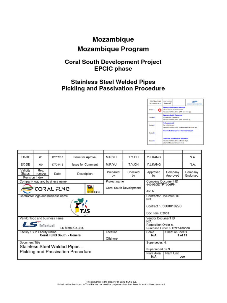 4404ggdtpt006ph Exde01 11 Pickling and Passivation | PDF | Pipe (Fluid ...