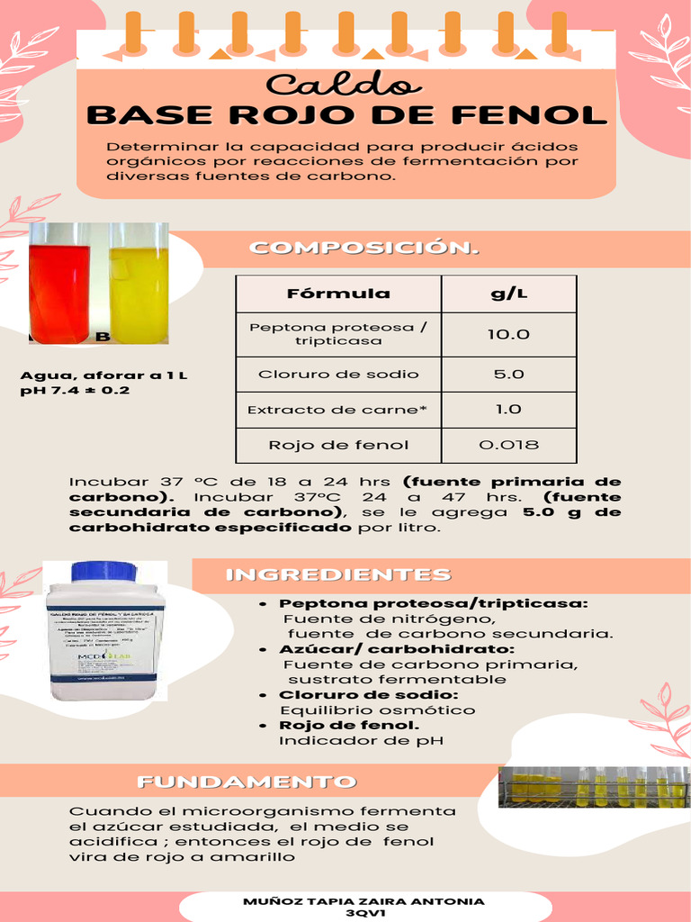 Caldo Base Rojo de Fenol | PDF | Fermentación | Glucosa