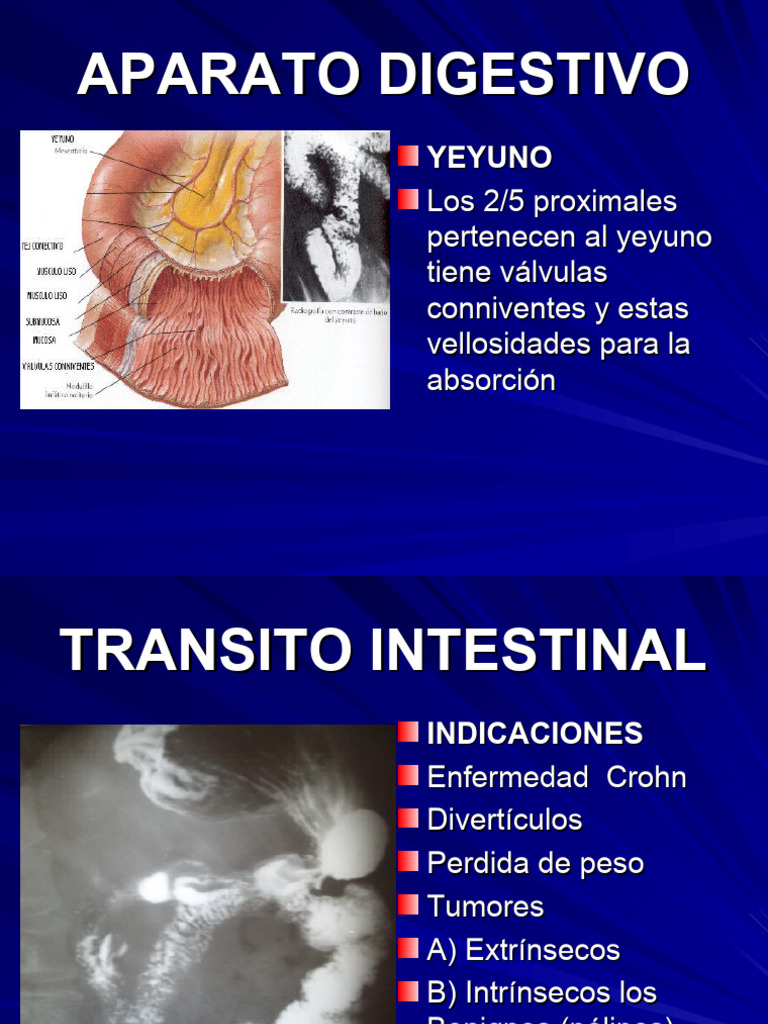 TRANSITO INTESTINAL | PDF | Tracto gastrointestinal | Intestino delgado