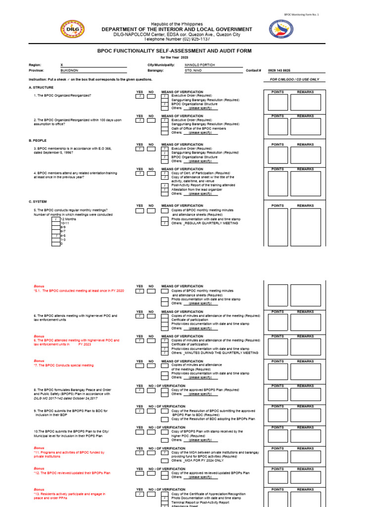 Dilg Audit Forms | Download Free PDF | Desk