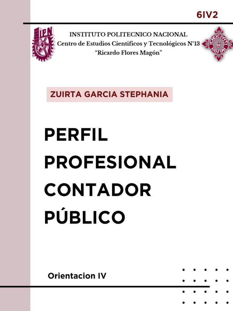 Perfil profesional Orientación | Descargar gratis PDF | Contador | Auditoría