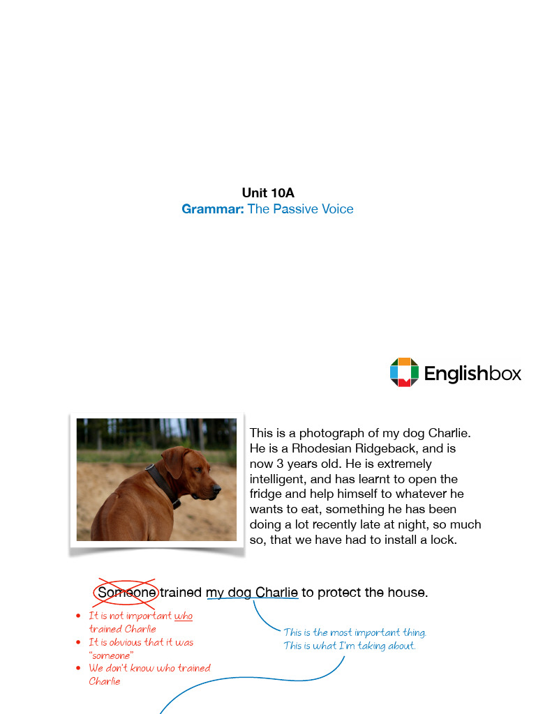 Understanding the Passive Voice in English | PDF | Verb | Subject (Grammar)
