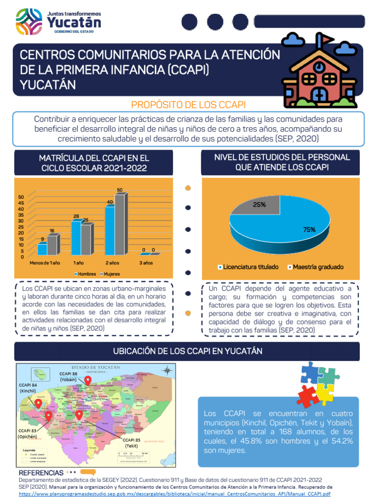 13 Infografía Ccapi | PDF