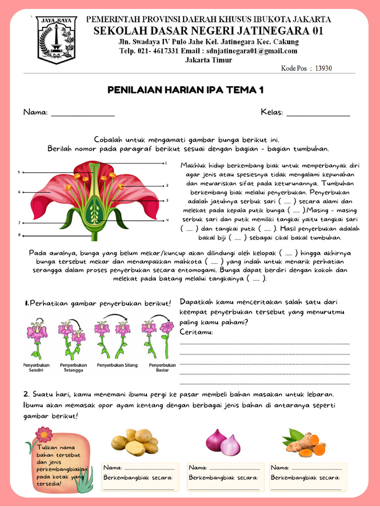 PH Ipa Tema 1 | PDF