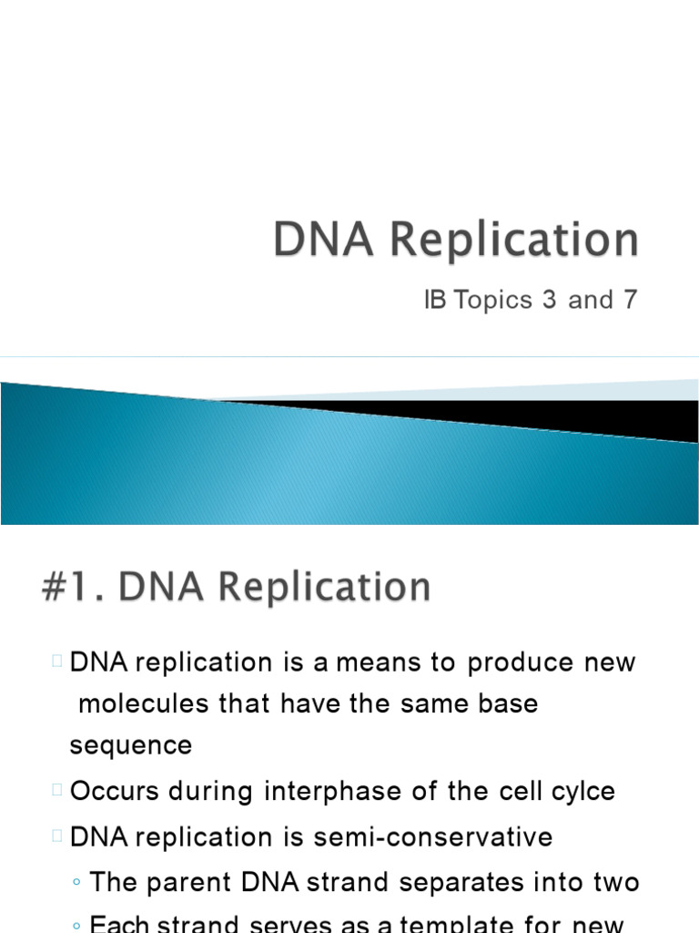 Dnareplication 100505182934 Phpapp02 | PDF | Dna Replication | Primer ...