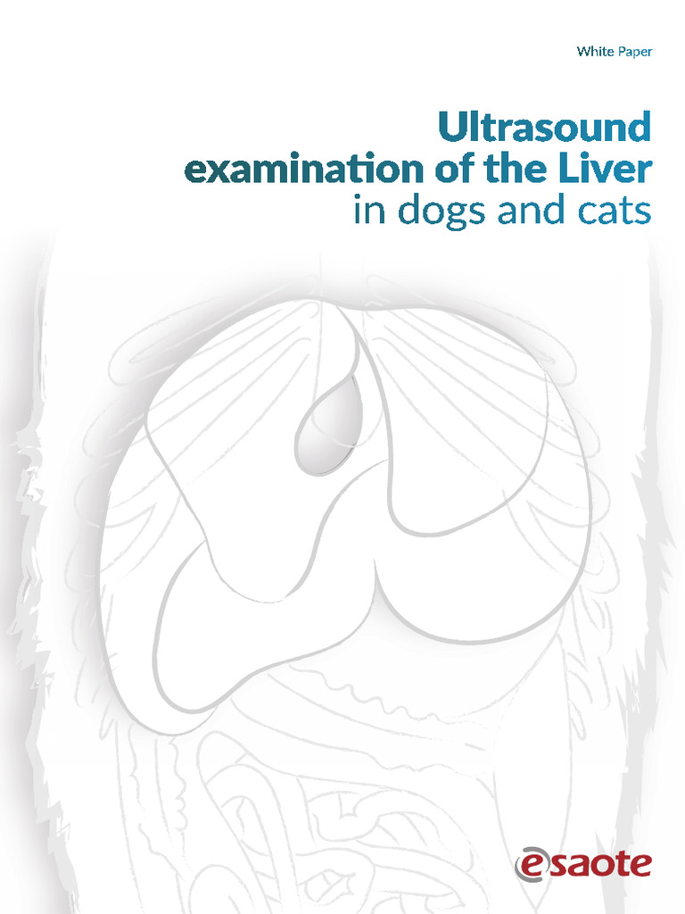 WP Liver VET 160000342 V01 0921 HR Compressed | PDF | Liver | Medical Ultrasound