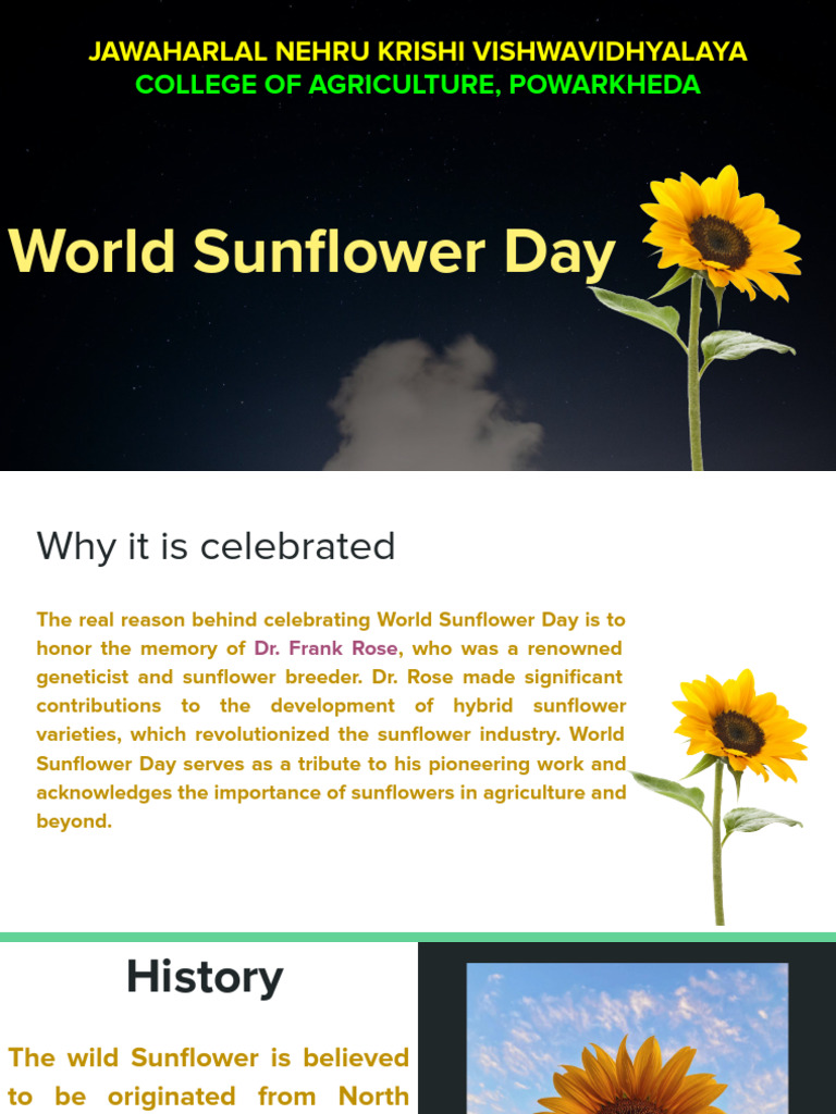 World Sunflower Day | PDF | Plants | Botany