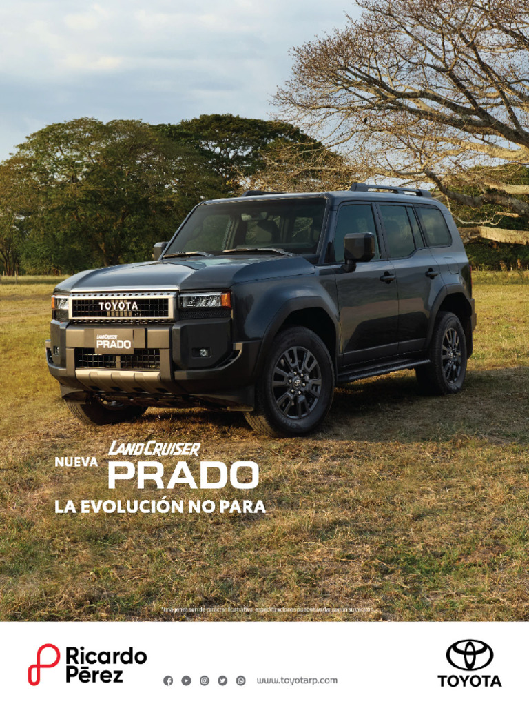 Catalogo PRADO 2024 | PDF