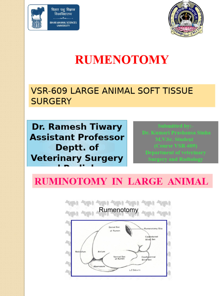 RUMENOTOMY | Download Free PDF | Surgical Suture | Peritoneum