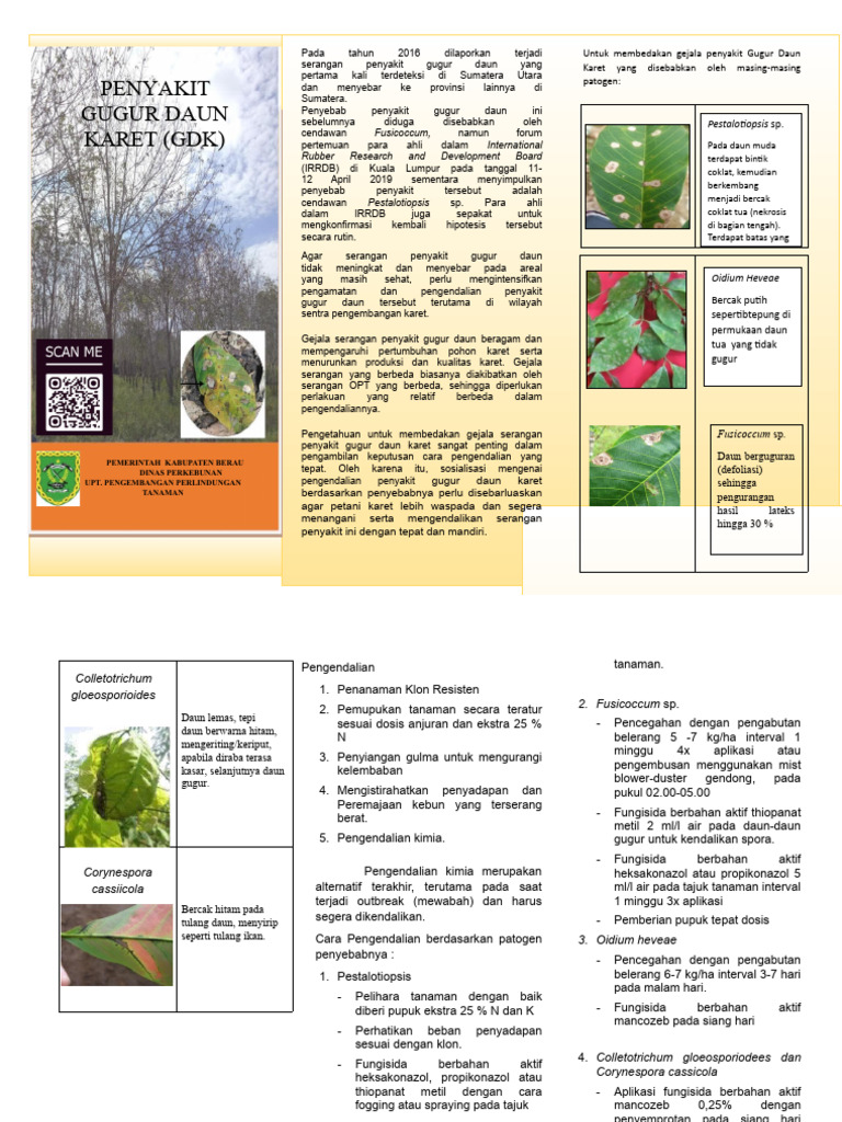 Panduan Pengendalian Penyakit GDK | PDF