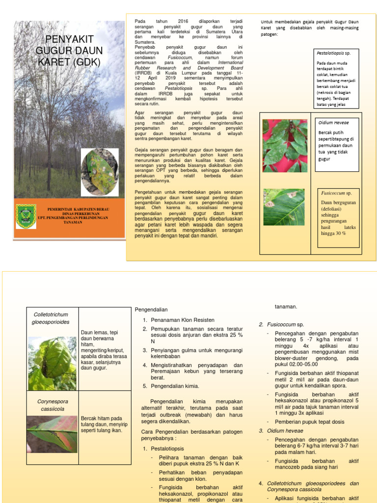 Leaflet GDK | PDF