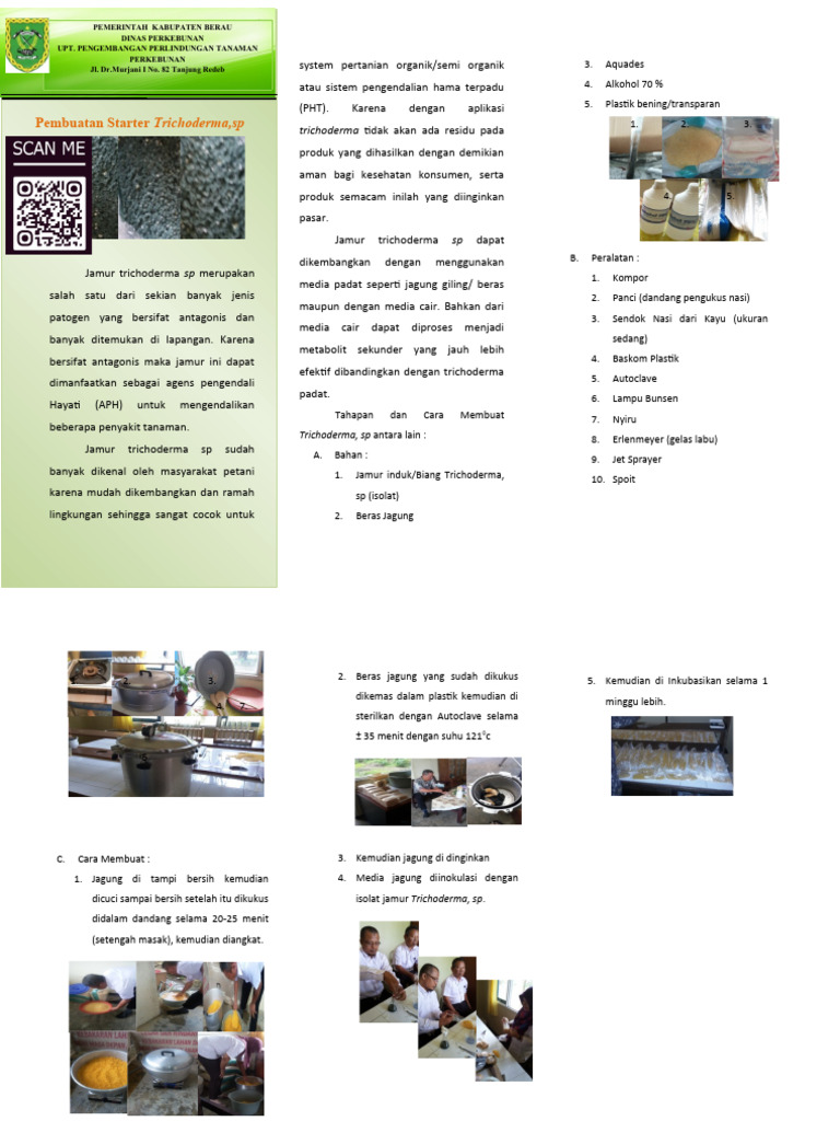 Leaflat Lada Dan Trichoderma | PDF