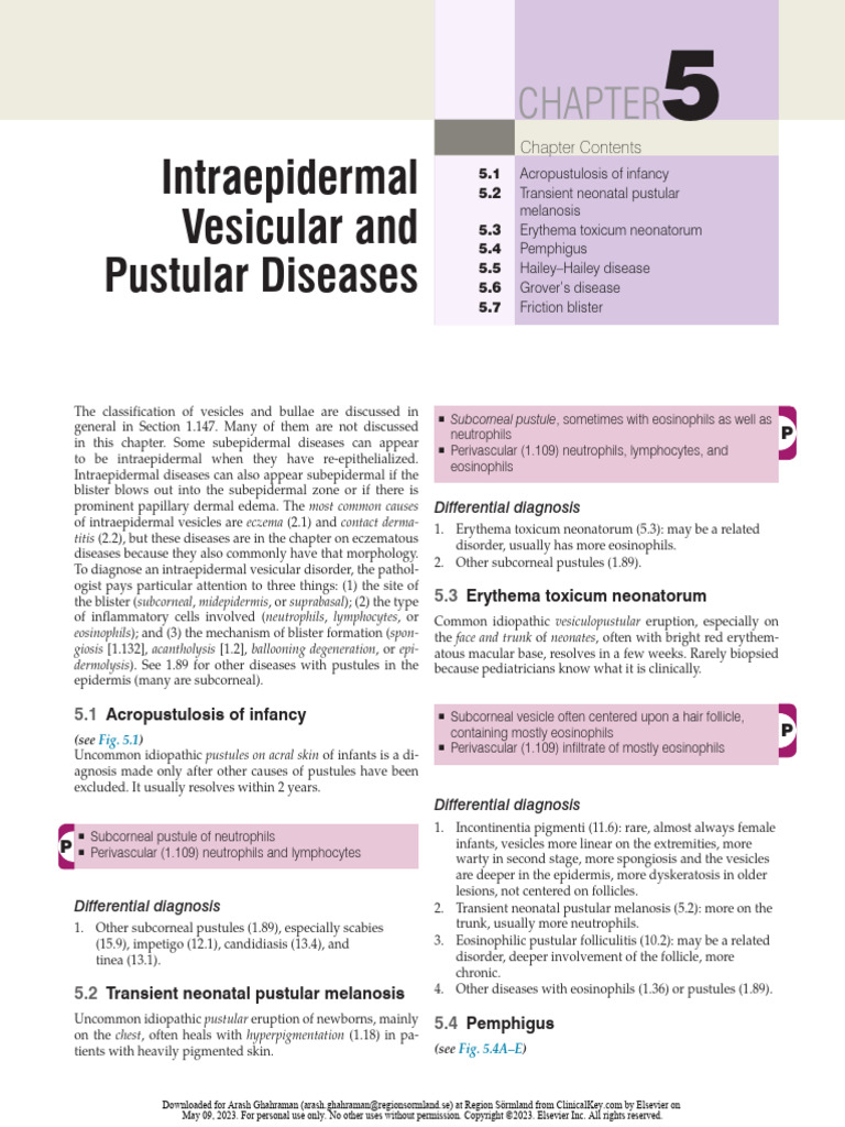 5. Intraepidermal Vesicular and Pustular Diseases | Download Free PDF ...