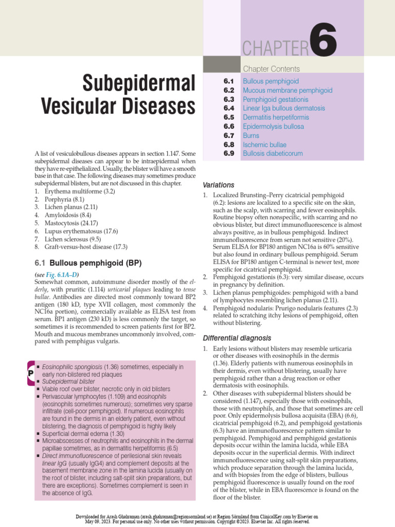 6. Subepidermal Vesicular Diseases | Download Free PDF | Clinical ...
