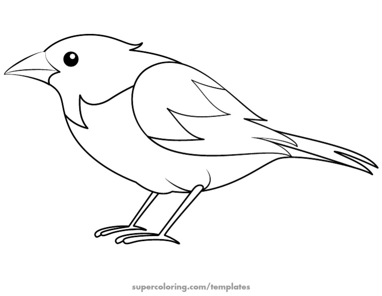 Bird Outline Template Paper Crafts | PDF