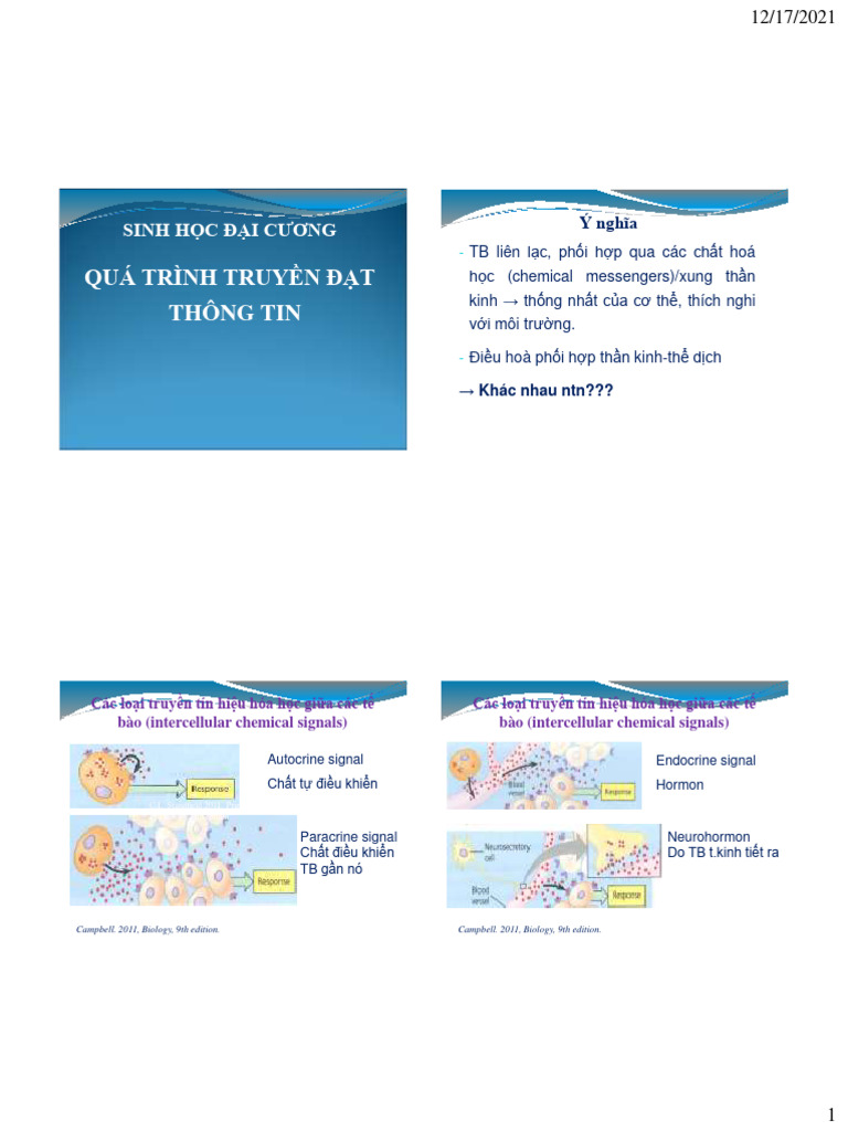 Truyen Dat Thong Tin, SS - SV | PDF