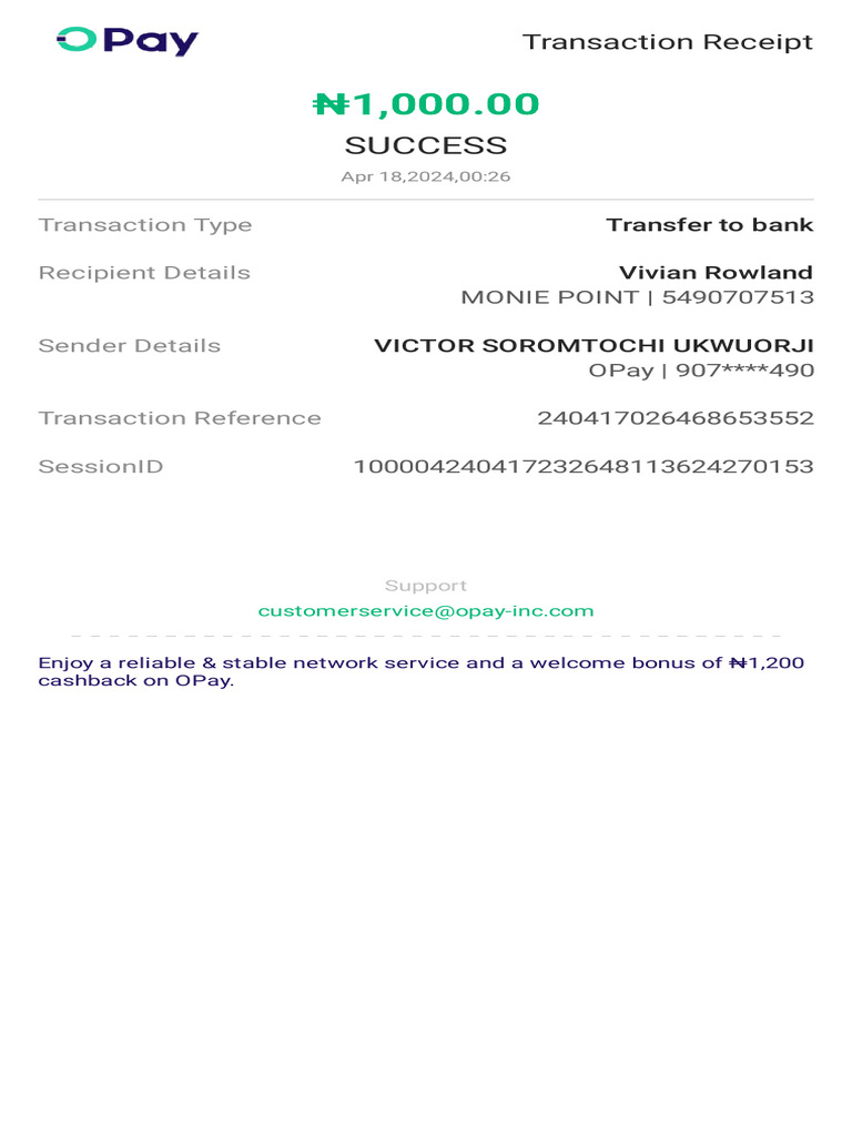 Successful OPay Transaction Receipt | PDF