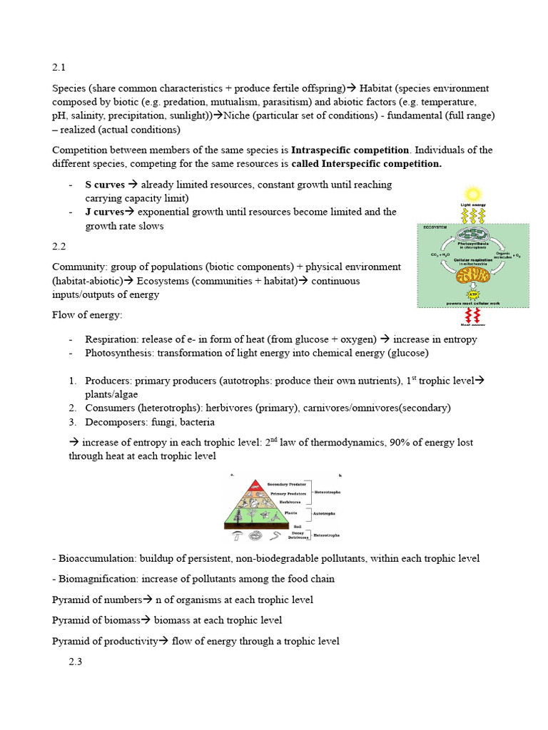 ESS Topic 2 | PDF | Primary Production | Food Web