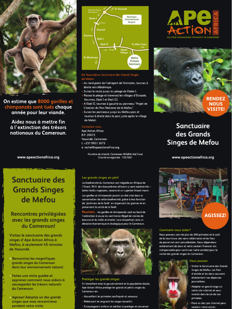 French Visitors Pamphlet | PDF