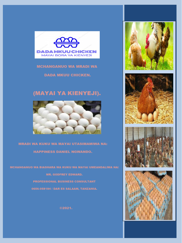 Chicken Business Plan | PDF