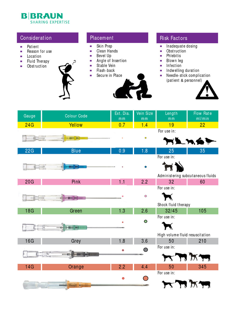 Choosing The Correct IV Catheter Download | PDF | Intravenous Therapy ...