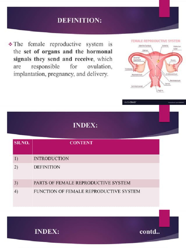 PPTGallery 20240613 150337 | PDF
