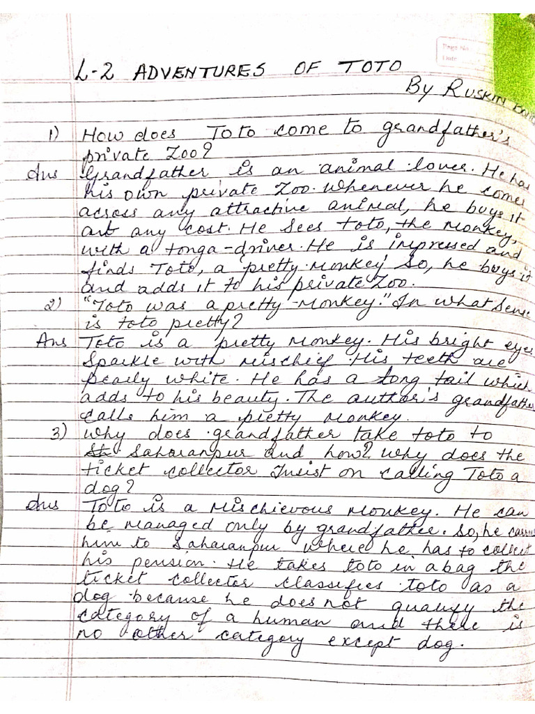 L-2 Adventure of Toto | PDF