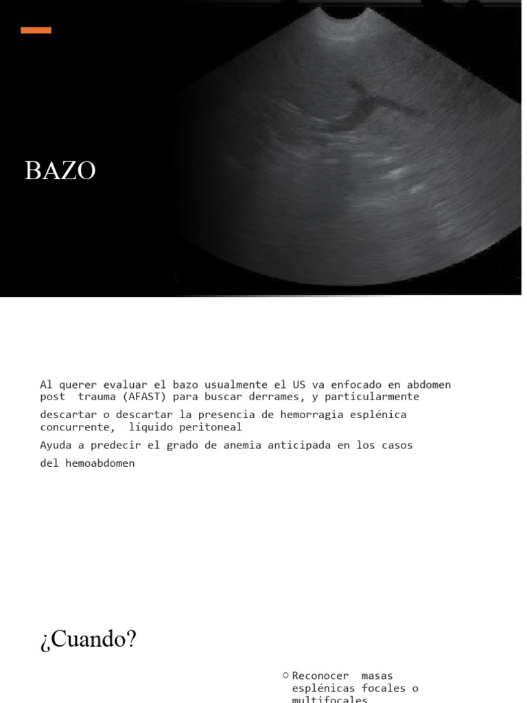 Bazo | PDF | Bazo | Abdomen