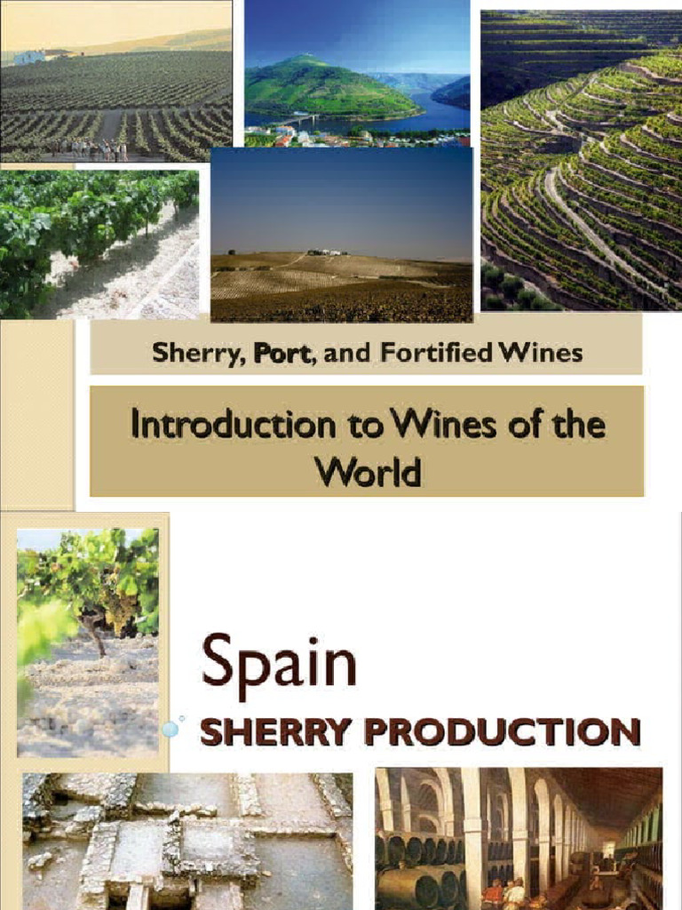 Fortified Wines | PDF