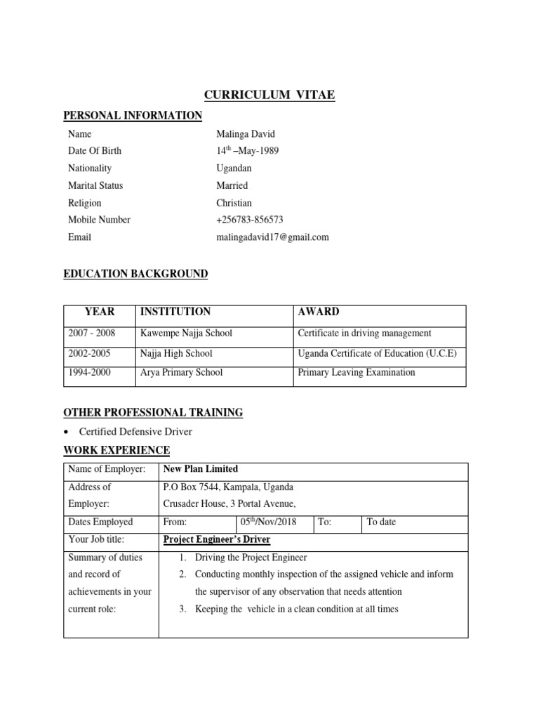 David CV 20.11.2022 | PDF