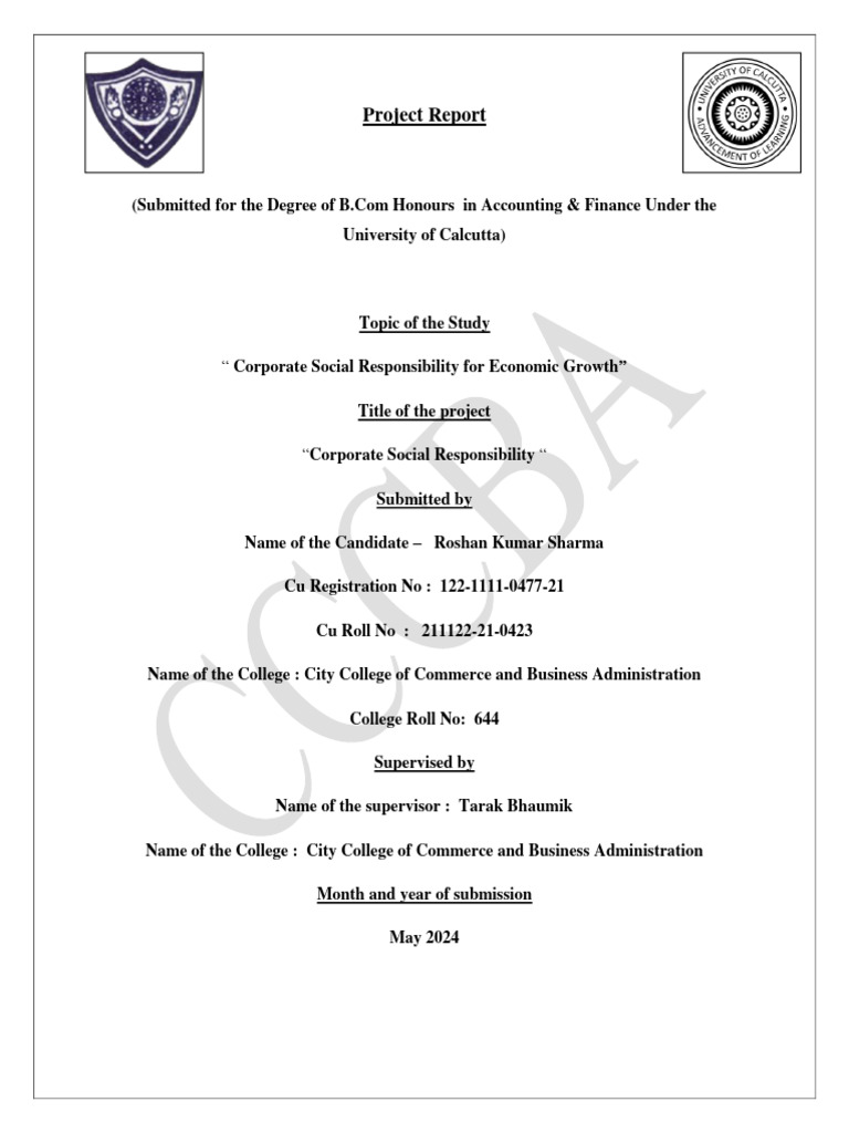 Roshan project work3 | PDF | Corporate Social Responsibility | Methodology