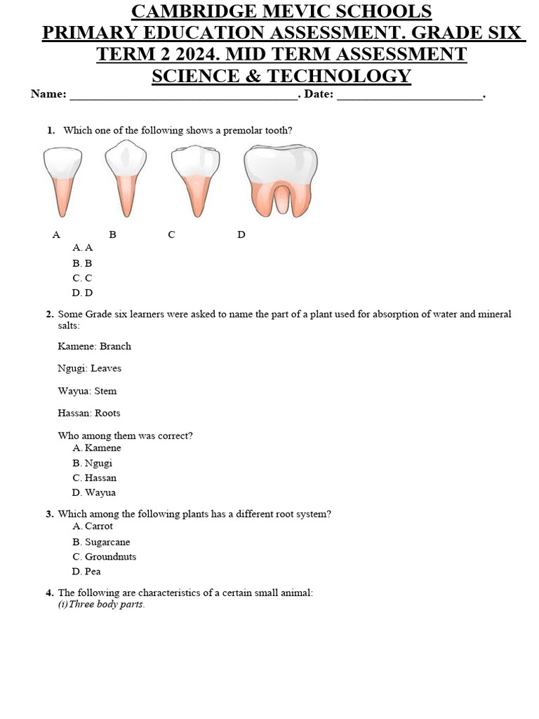 G6 SCIENCE AND TECH | PDF | Stomach | Blood