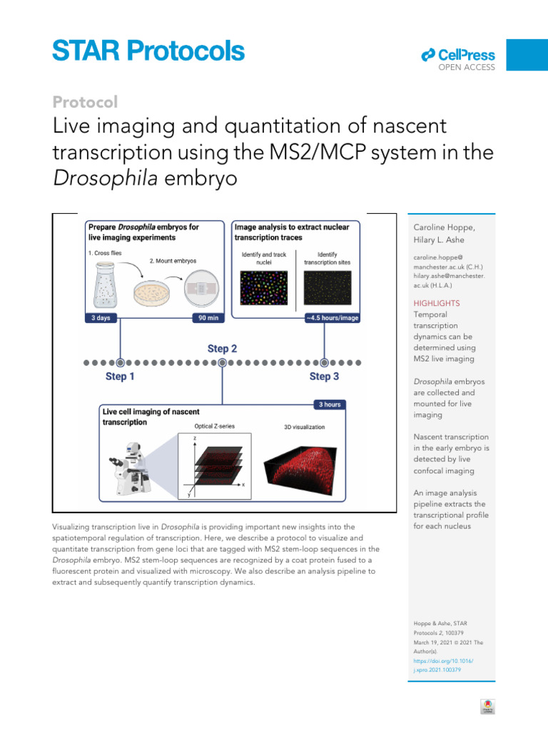 Live Imaging and Quantitation of Nascent Transcription Using The MS2 ...