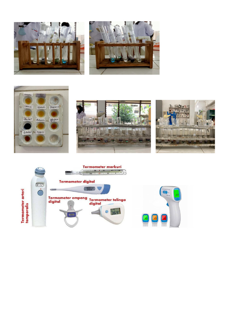 Patofis, Biokim, Bakter | PDF